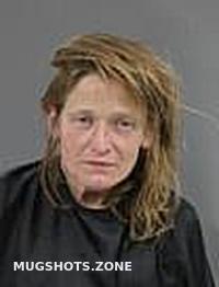 COOK ELIZABETH DIANE 03/24/2024 - Anderson County Mugshots Zone