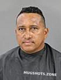 ZELAYA EDIN LOPEZ 05/29/2024 - Anderson County Mugshots Zone