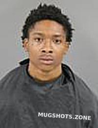 ALEXANDER BROOKLYN TYLER 06/11/2024 - Anderson County Mugshots Zone