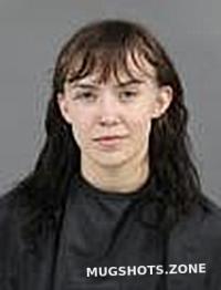 LONG ALEAHA RAYE 07/08/2024 - Anderson County Mugshots Zone