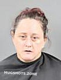 DAVIS CRYSTAL ANN 11/12/2024 - Anderson County Mugshots Zone