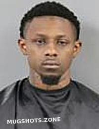 HUNTER DIMAIDGIO AUNDREL 04/05/2025 - Anderson County Mugshots Zone