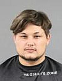 LANDINI JAMES PATRICK JR 04/05/2025 - Anderson County Mugshots Zone