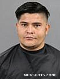 PORTILLO VILLAMIL JESTHER OMAR 04/24/2025 - Anderson County Mugshots Zone