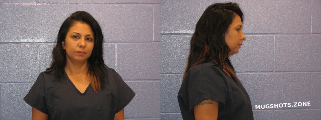 CASTORENA MARIA ELENA 07/31/2022 - Andrews County Mugshots Zone