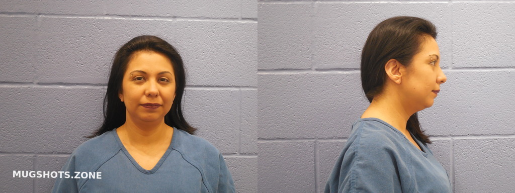 CASTORENA MARIA ELENA 01/29/2023 - Andrews County Mugshots Zone