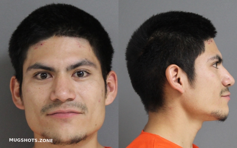 HERNANDEZ ALAN IVAN 04/06/2024 - Angelina County Mugshots Zone