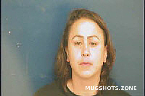ASHLEY MICHELLE CHAVIS 08/14/2023 - Anson County Mugshots Zone