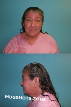 KOETTER DONNA MCCARRELL 05/31/2024 - Aransas County Mugshots Zone