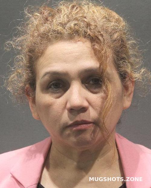 VILLALOBOS SANDRA LORENA 03/02/2024 - Arlington County Mugshots Zone