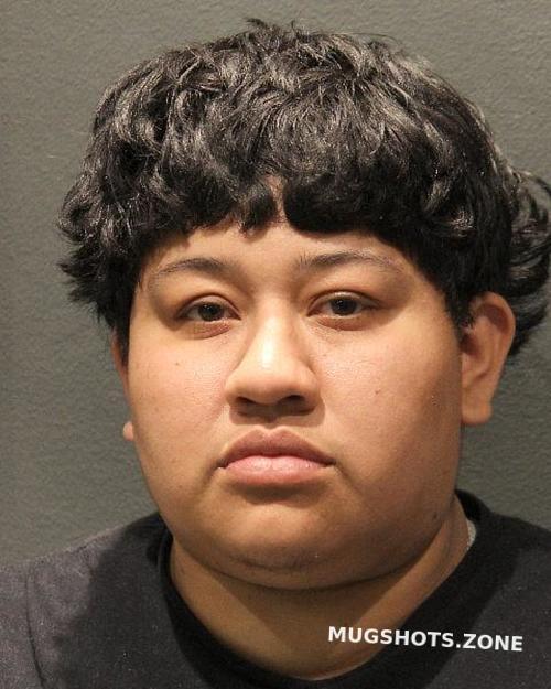 MARTINEZ TIPAN MARILYN JOANNA 05/12/2024 - Arlington County Mugshots Zone MARTINEZ TIPAN MARILYN JOANNA 05/12/2024 - Arlington County Mugshots Zone