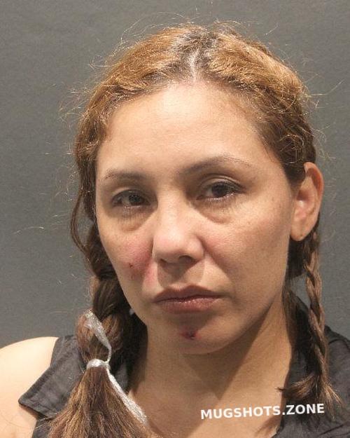 SOLORZANO VILLALTA FLOR DE 08/11/2024 - Arlington County Mugshots Zone