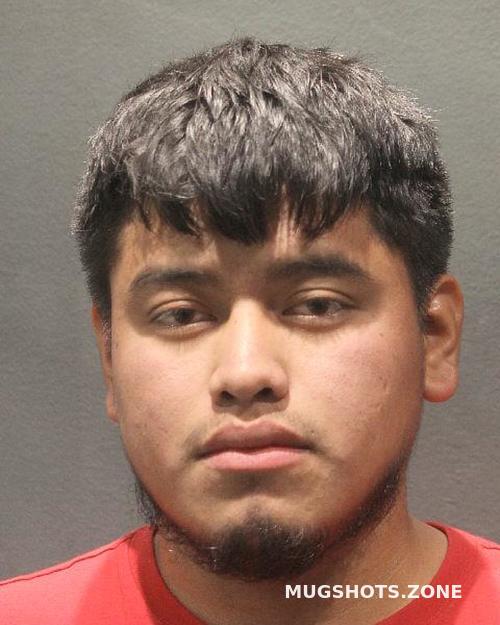 CHEN DE LEON DENIS ALEXANDER 08/23/2024 - Arlington County Mugshots Zone