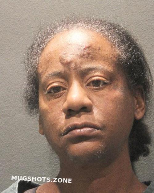WILLIAMS DONNITA MACHELLE 10/28/2024 - Arlington County Mugshots Zone