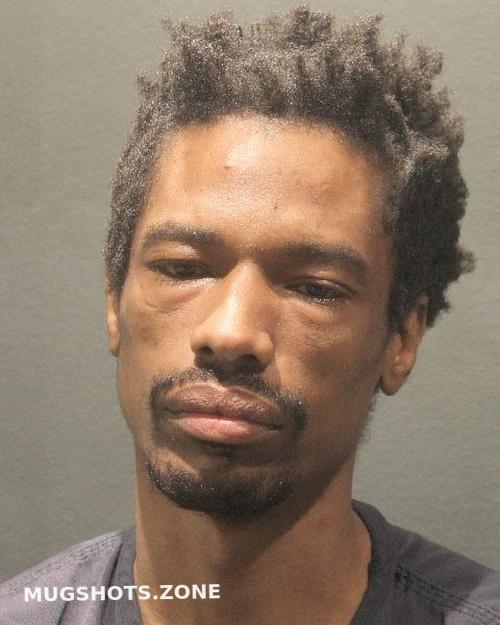 WILLIAMS IAN DEVON 11/27/2024 - Arlington County Mugshots Zone