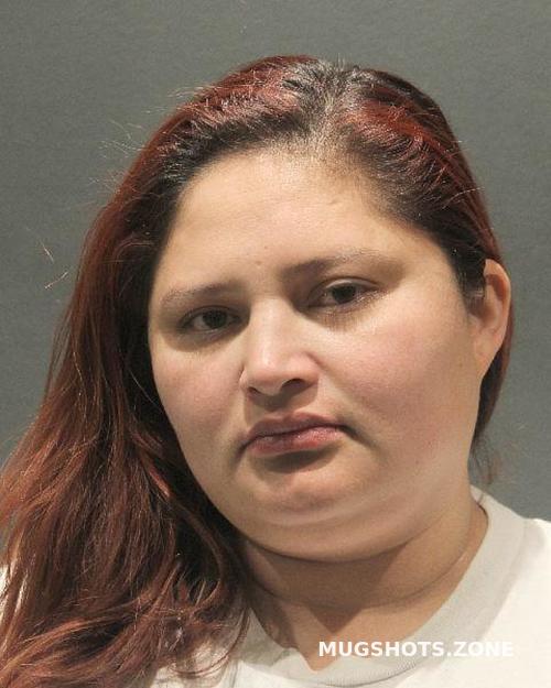 REYES ROMERO YOLANDA DEL CARMEN 02/20/2025 - Arlington County Mugshots Zone