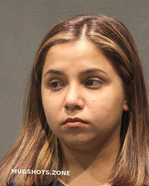 SAYED NABILA 02/25/2025 - Arlington County Mugshots Zone