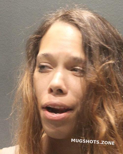 PRUNTY JAMIE LYNN 04/07/2025 - Arlington County Mugshots Zone