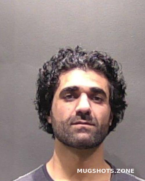 HASHIMI SAYED MUSAWER 04/12/2025 - Arlington County Mugshots Zone