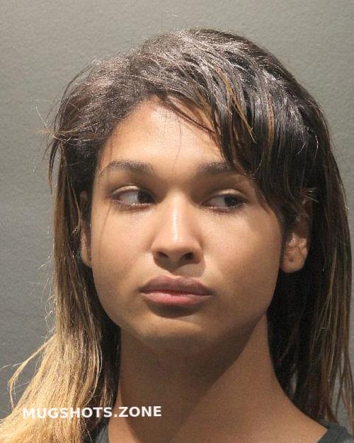ORSINI ANGELLA REINA 11/17/2025 - Arlington County Mugshots Zone