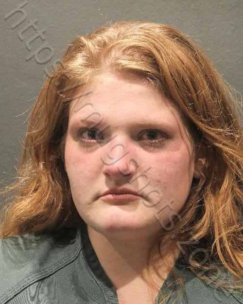 HALLER OONA MADISON 03/21/2026 - Arlington County Mugshots Zone
