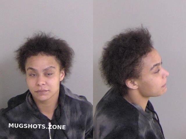 JOHNSON SHAYLEE 11/11/2024 - Ascension Parish Mugshots Zone