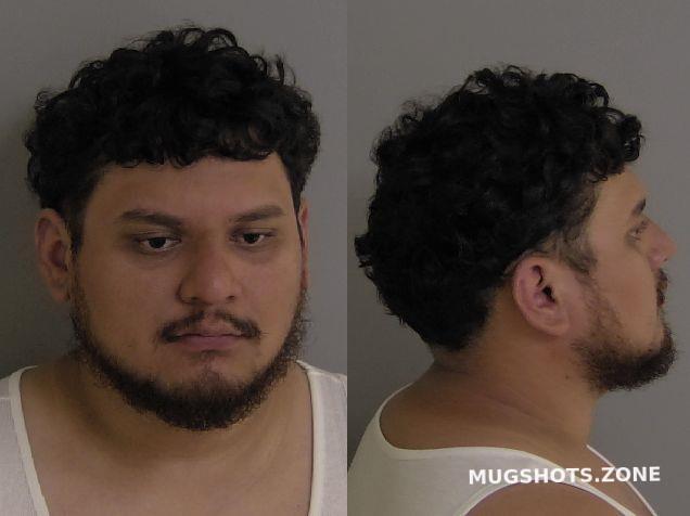 LANDEROS JULIAN 11/27/2024 - Ascension Parish Mugshots Zone