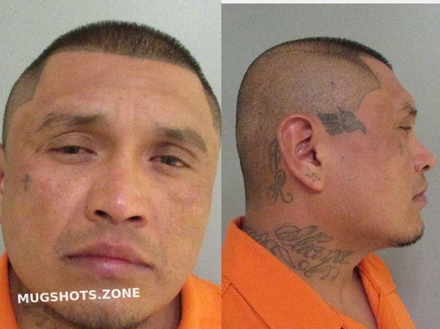 CASTELLON GUSTAVO ADOLFO 03/16/2025 - Ascension Parish Mugshots Zone