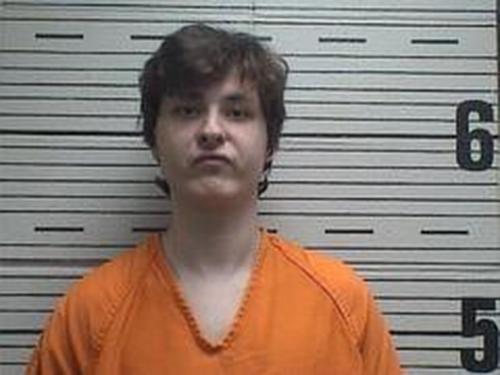 BENJAMIN AVERY HOLLIS 02/16/2021 - Autauga County Mugshots Zone