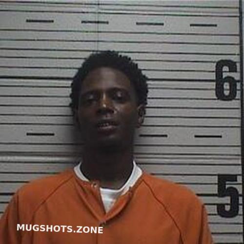 DAVID LEE JOHNSON 06/30/2021 - Autauga County Mugshots Zone