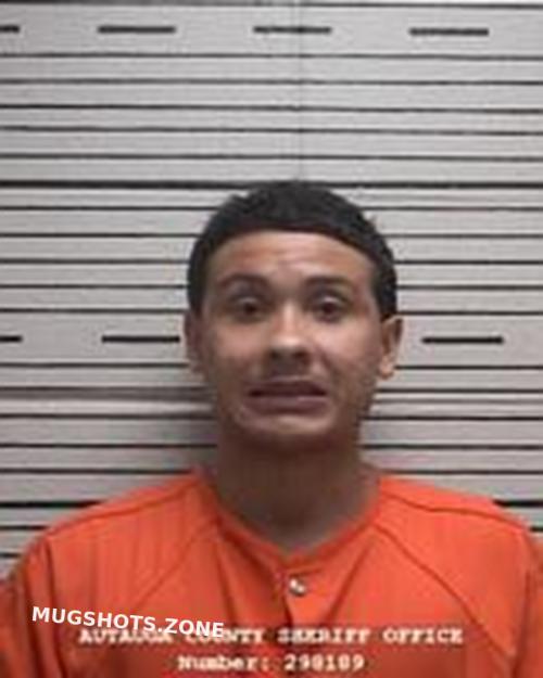 TAVIOUS LEE SWAN HOHENBERGER 08/14/2023 - Autauga County Mugshots Zone