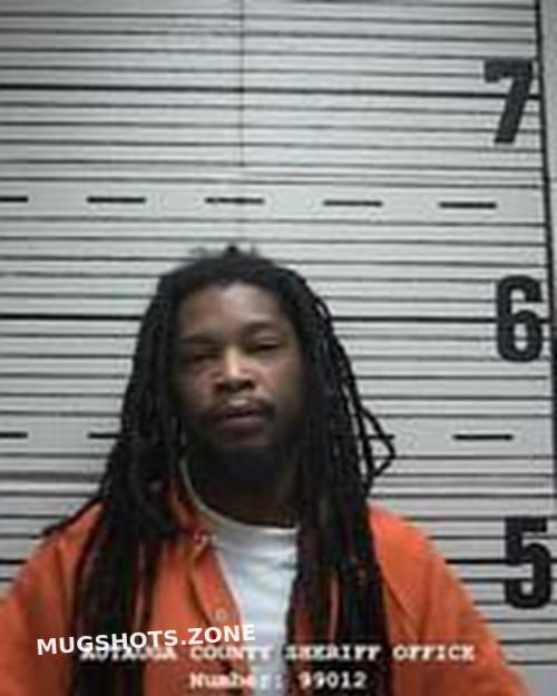 MARLO WILLIAM MARSHALL 11/16/2024 - Autauga County Mugshots Zone