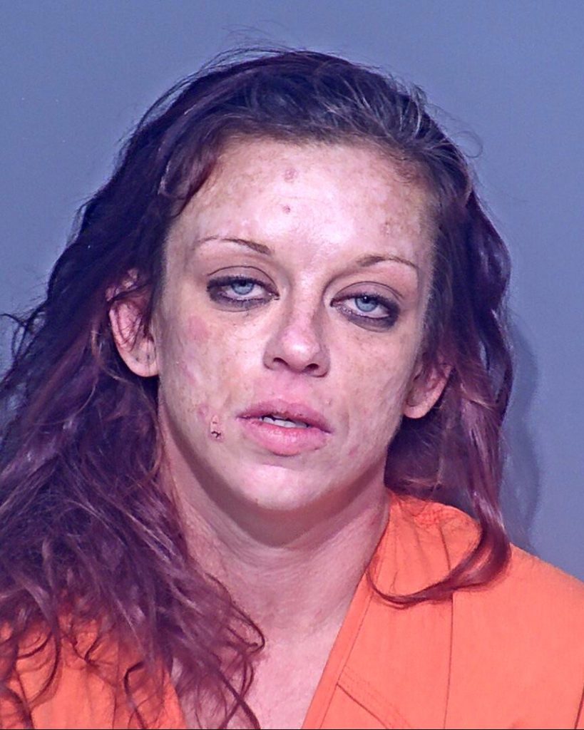 SHIPP AMANDA LYNN 09/21/2020 - Baldwin County Mugshots Zone