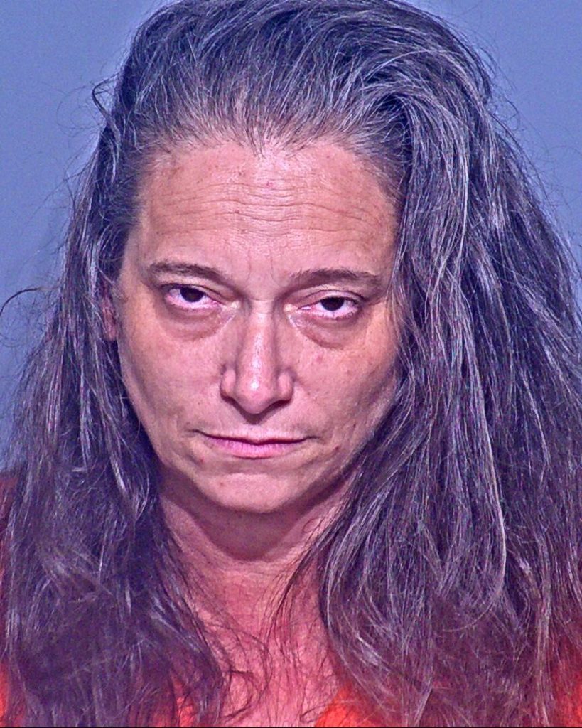 LONG CONNIE ELIZABETH 09/22/2020 - Baldwin County Mugshots Zone