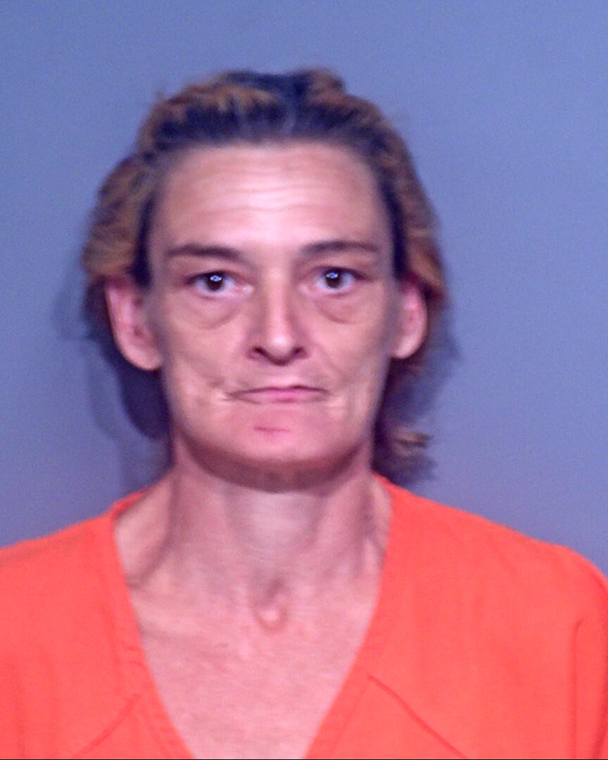FRETWELL SUSAN ELAINE 11/03/2020 - Baldwin County Mugshots Zone