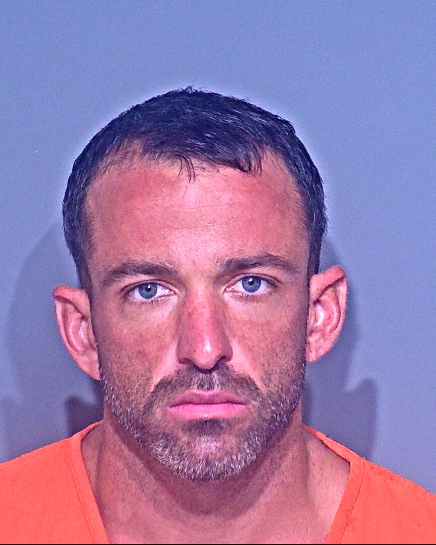 NELSON BRIAN JOSEPH 11/15/2020 - Baldwin County Mugshots Zone