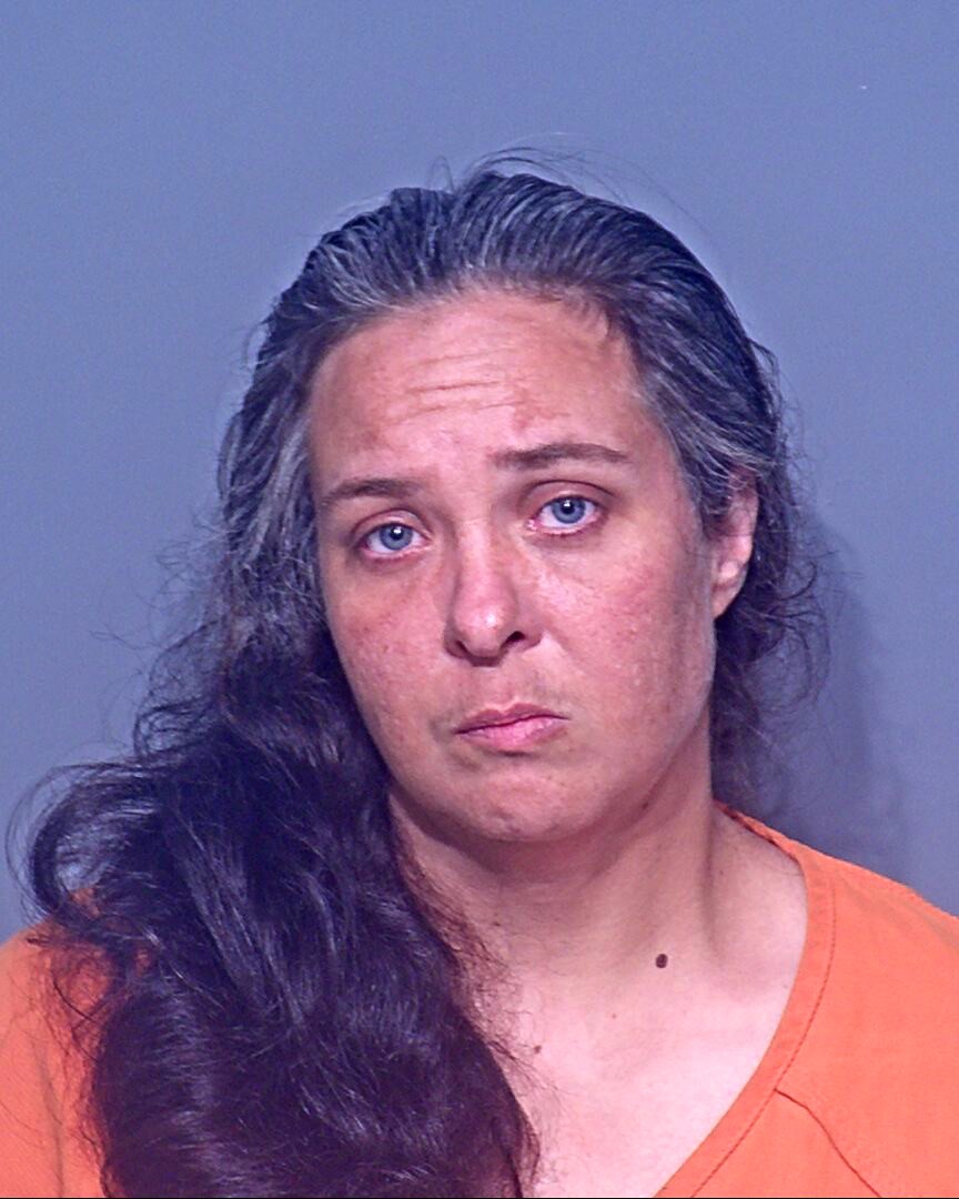 WILLIAMS JAMIE DANIELLE CAPPS 11/20/2020 - Baldwin County Mugshots Zone