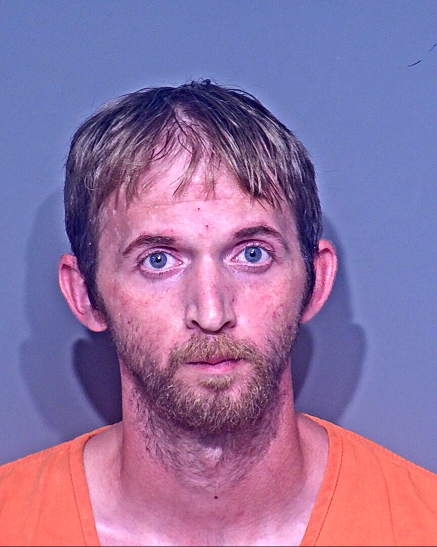 PECEVICH TYLER RAY 11/23/2020 - Baldwin County Mugshots Zone