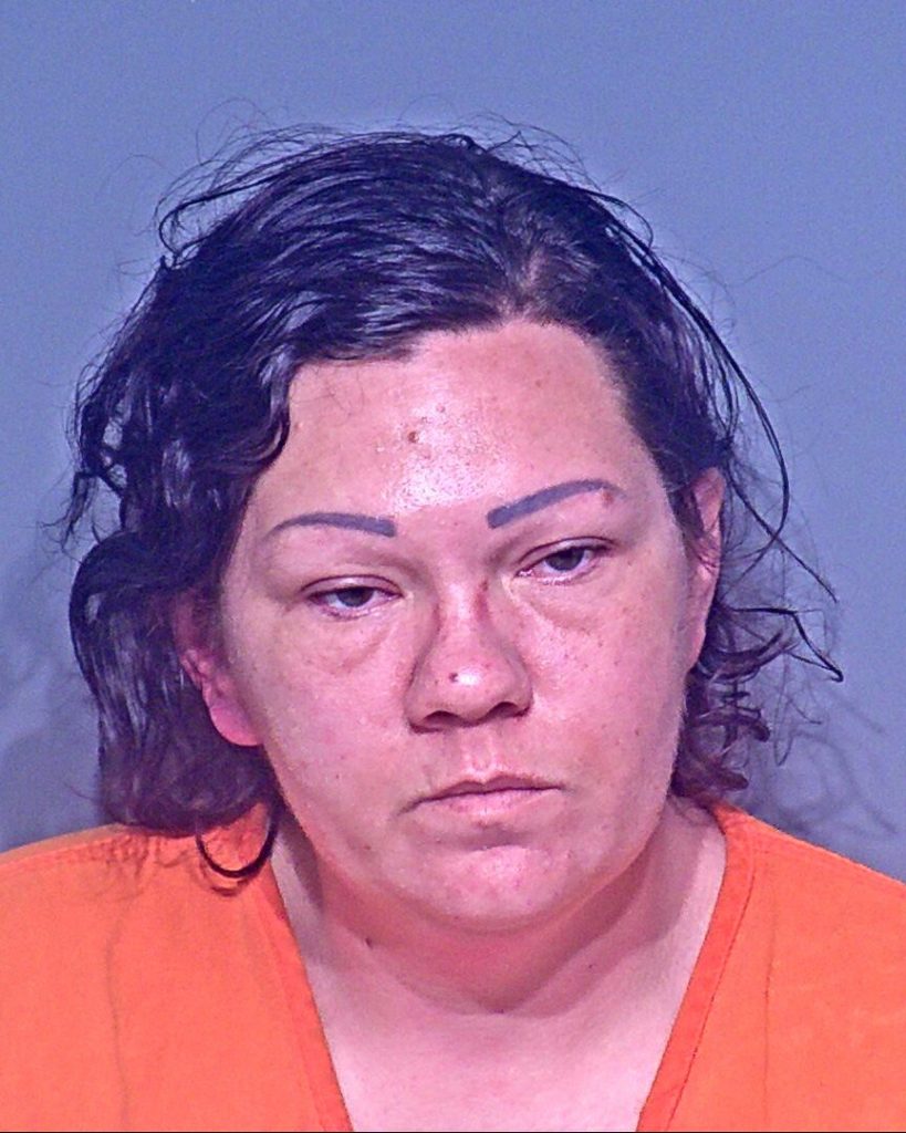 PAINTER TERESA DENISE 12/10/2020 - Baldwin County Mugshots Zone
