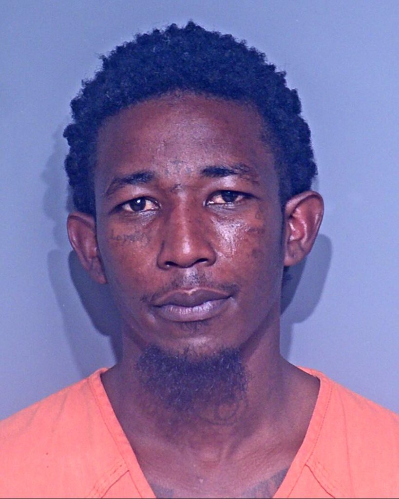 WILLIAMS MICHAEL 02/02/2021 - Baldwin County Mugshots Zone