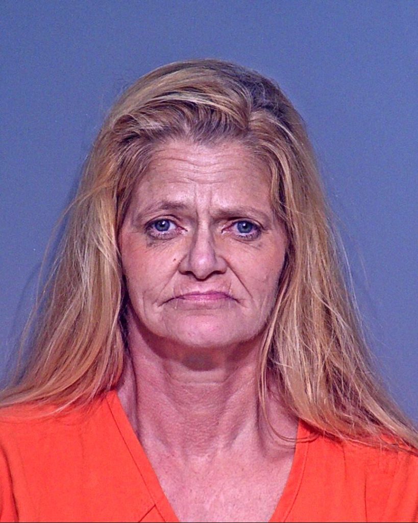 COX DANETTE HICKS 03/17/2021 - Baldwin County Mugshots Zone