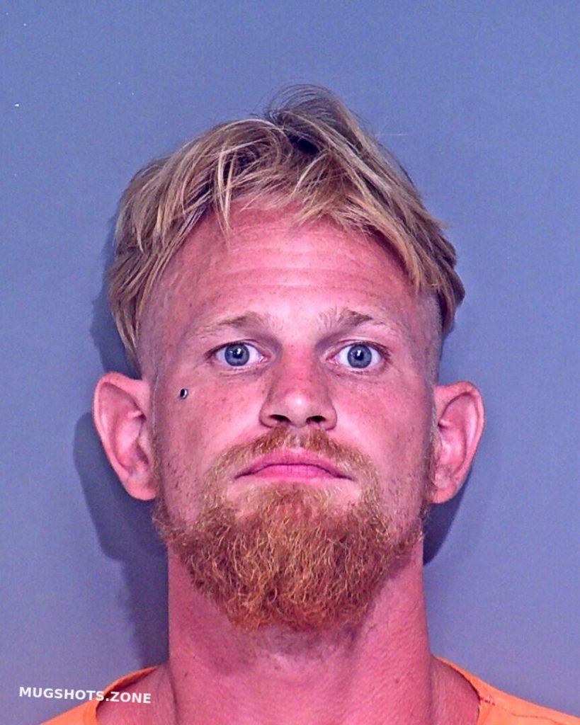 BRISTOW JAMES DILLON 07/16/2021 - Baldwin County Mugshots Zone