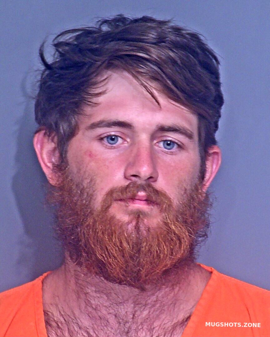 Johnson Troy Wayne 07 20 2021 Baldwin County Mugshots Zone