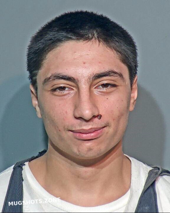 GODOY RONALDO MIGUEL 12/17/2021 - Baldwin County Mugshots Zone