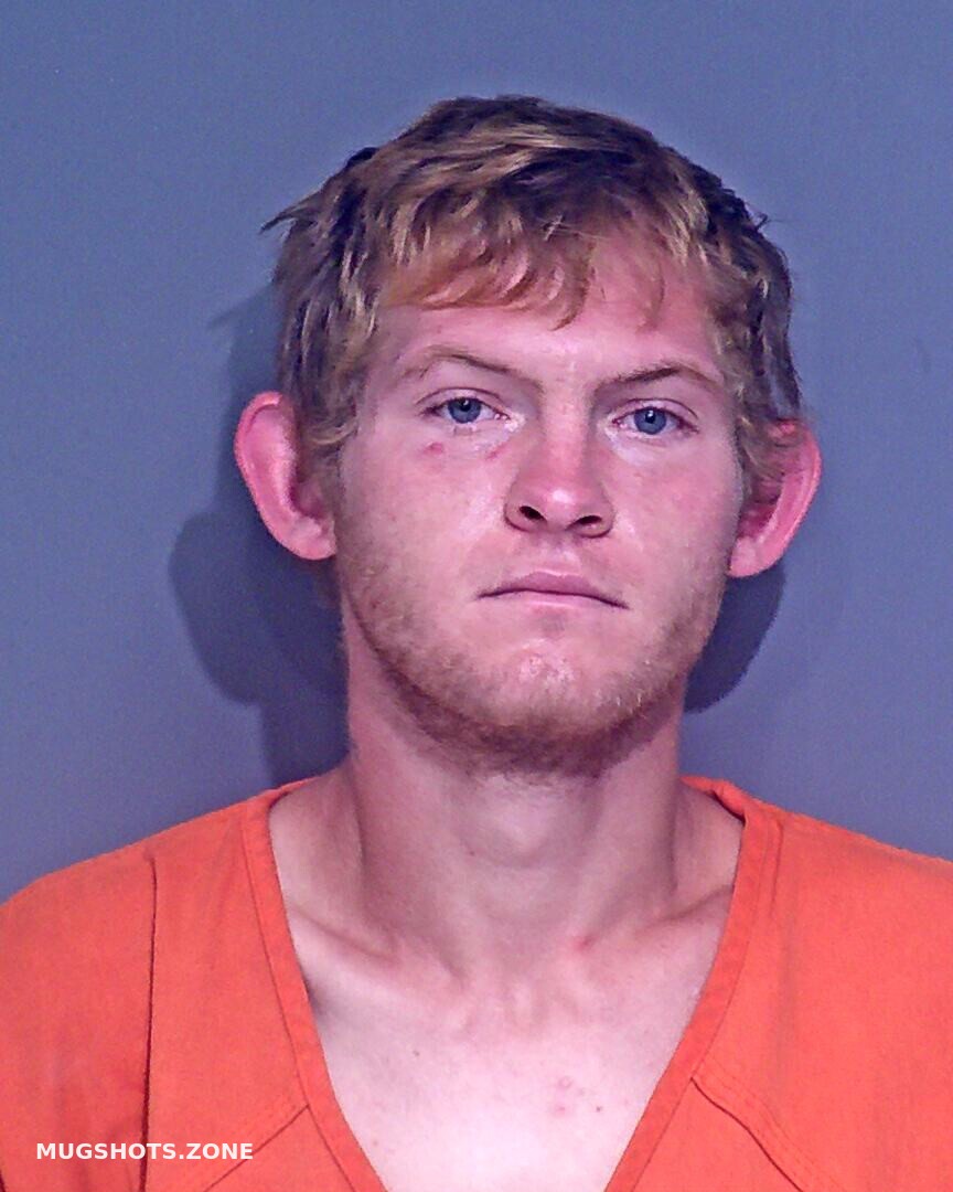 SHOOK DYLAN DAVID JOHN 01/02/2022 - Baldwin County Mugshots Zone