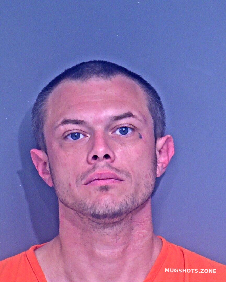 WILLIAMS JOHN CURTIS 02/11/2022 - Baldwin County Mugshots Zone