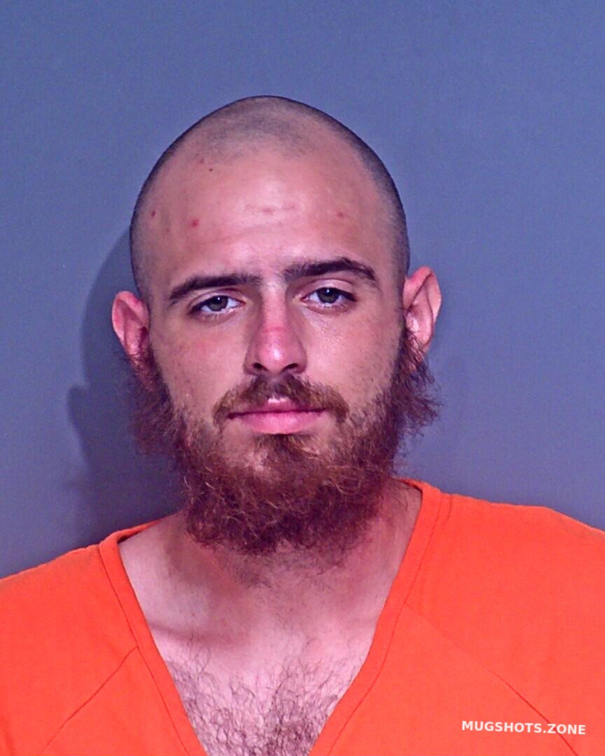 GODWIN ALEXANDER PAUL 02/14/2022 - Baldwin County Mugshots Zone