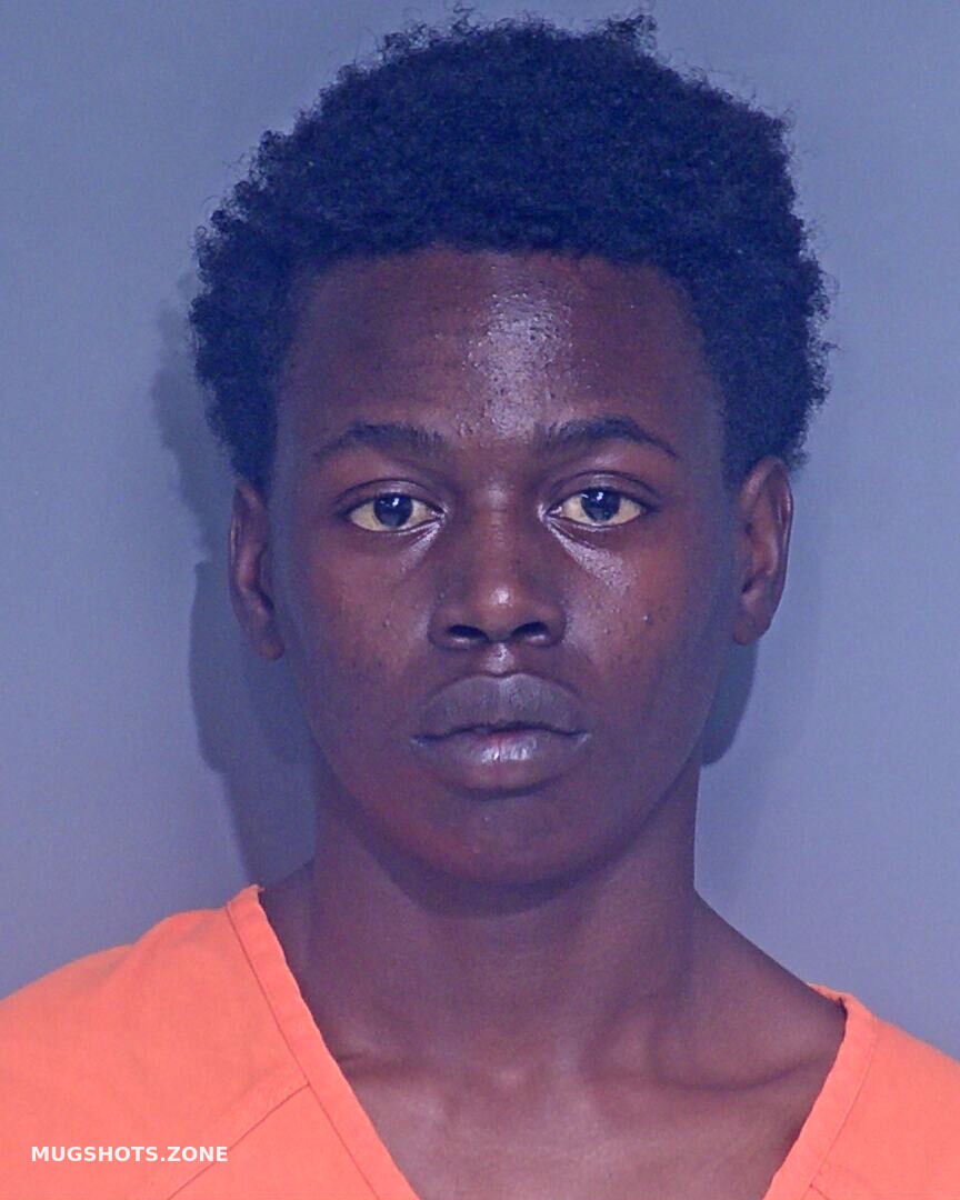 PALMER DEANTE LAMAR 02/25/2022 - Baldwin County Mugshots Zone