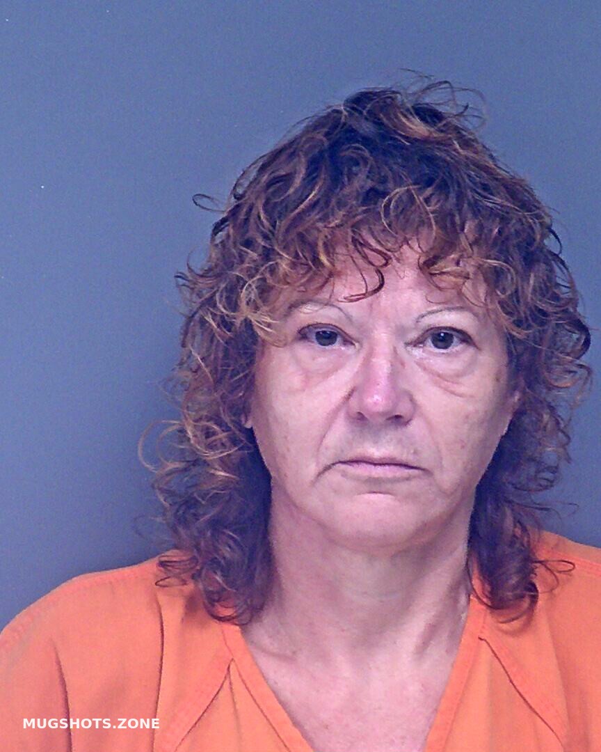 KING SUSAN ANN 09/03/2022 - Baldwin County Mugshots Zone