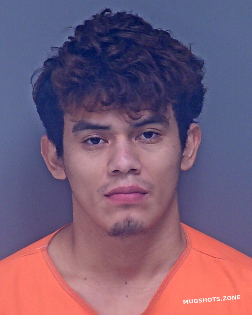 MUNGUA-HERNANDEZ DELIO JOSUE 09/30/2022 - Baldwin County Mugshots Zone